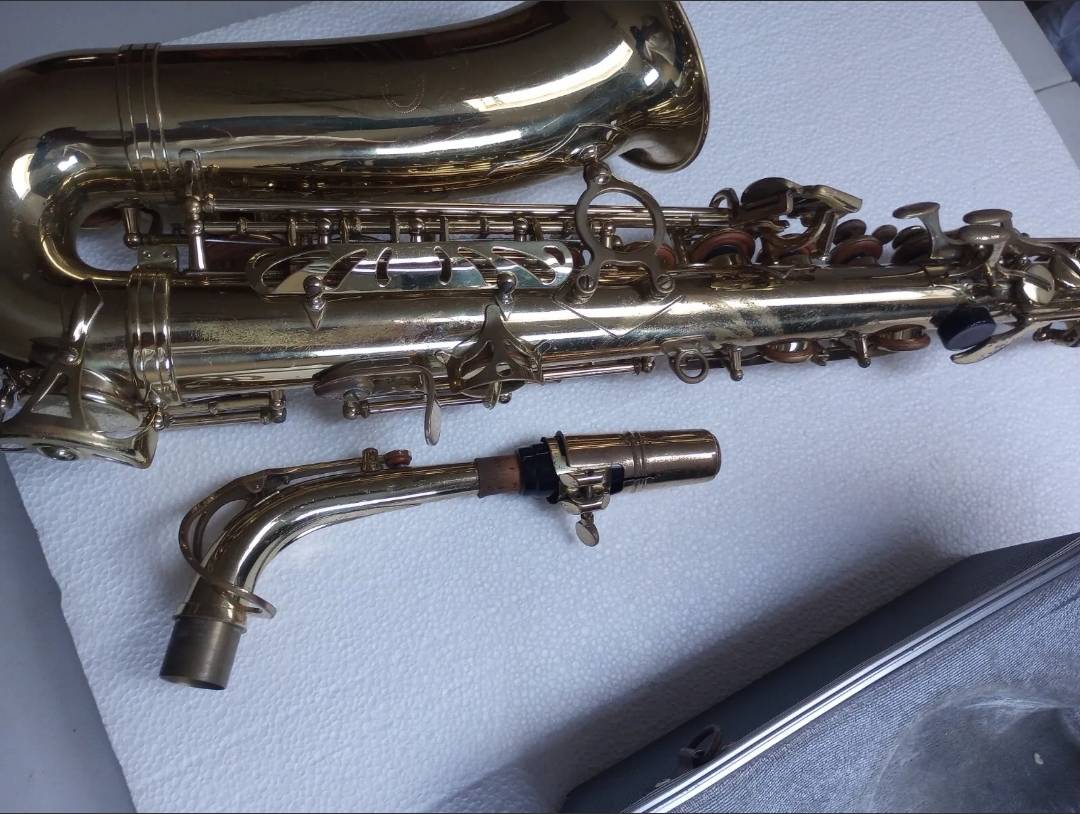 Simba Alto Saxophone | Looknet